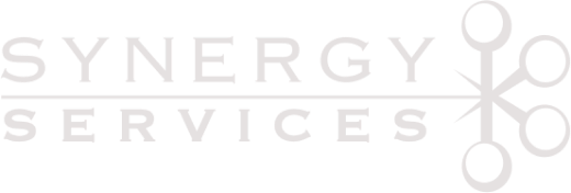 Services - Synergy Boston